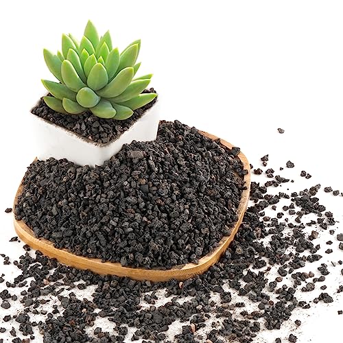 2.4LB Black Lava Rocks for Plants, Volcanic Rock Horticultural Lava Rock Soil for Landscaping Plants Drainage, Small Lava Rock Gravel for Succulents, Bonsai, Vase Fillers, Top Dressing
