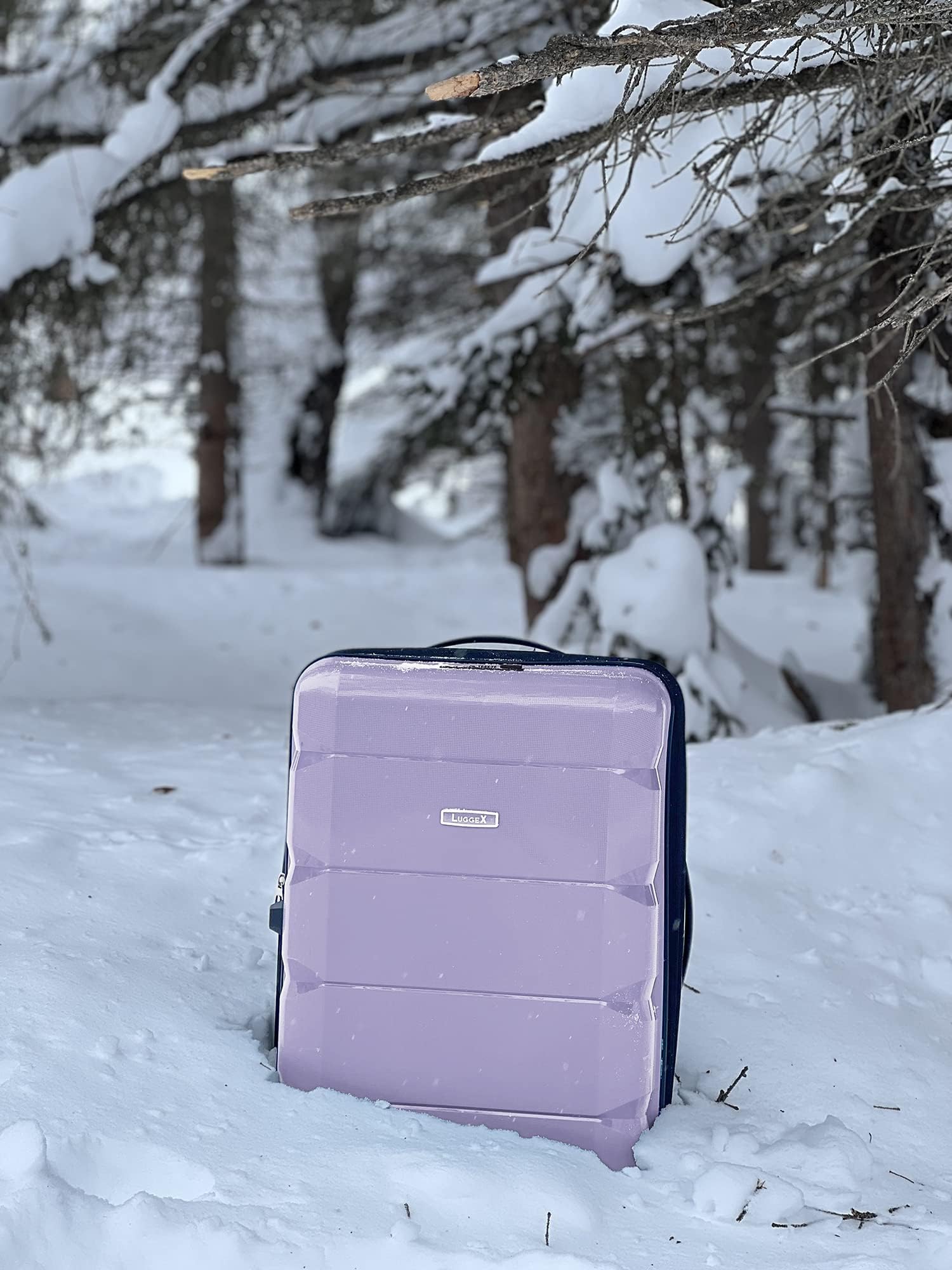 LUGGEX Expandable Carry On Luggage Sets 2 Piece - Lightweight Luggage with Spinner Wheels - Travel Suitcase with TSA Lock (Purple Suitcase)