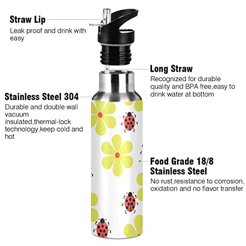 xigua Ladybug Water Bottle Double Walled Stainless Steel Leak Proof Thermo Flask for Sports Gym Cycling Outdoor,20 oz.