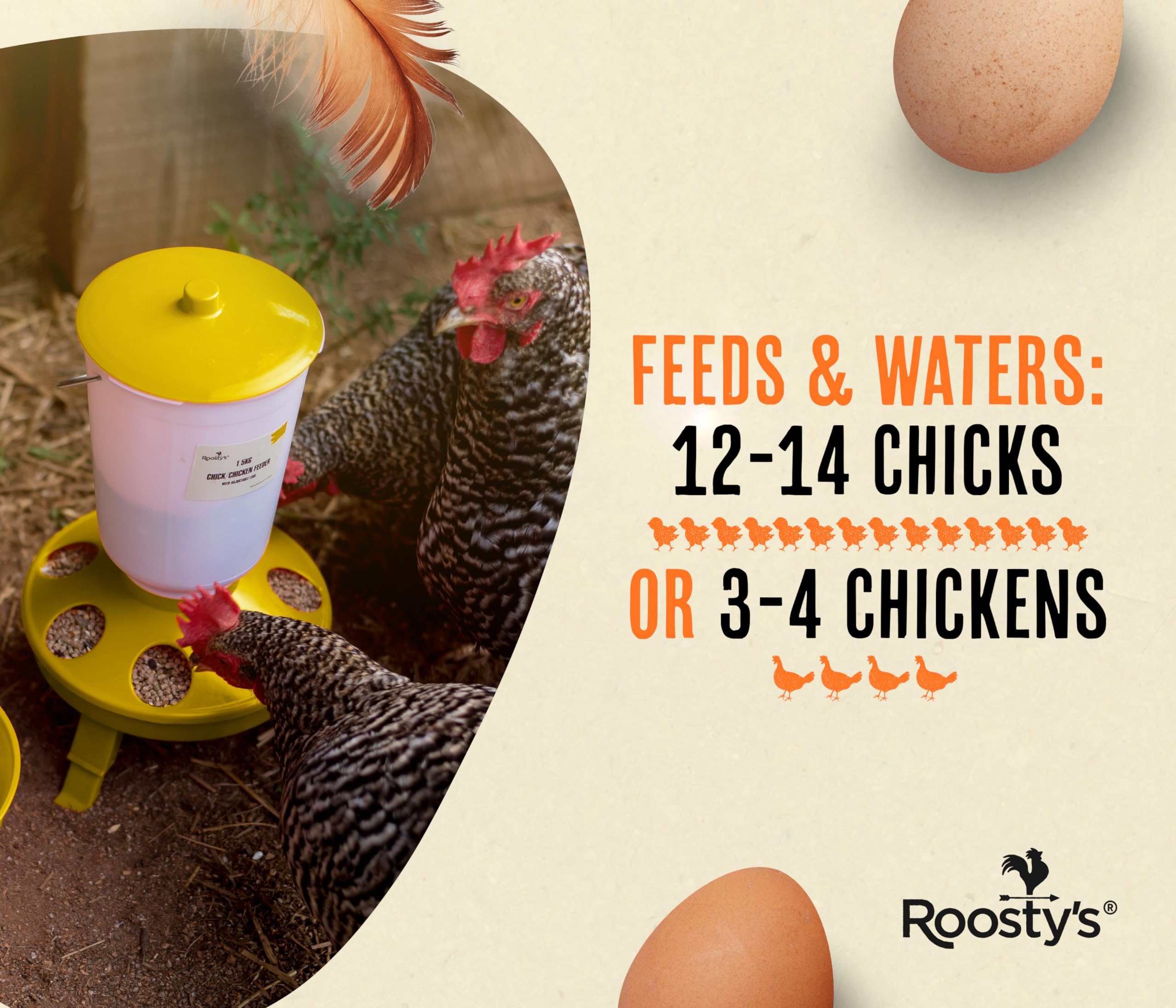 Roosty's - Top Fill Chicken Feeder and Waterer - 1.5KG/1.5L | Hanging, Small, Duck & Quail Feeder & Waterer | Chicken Supplies