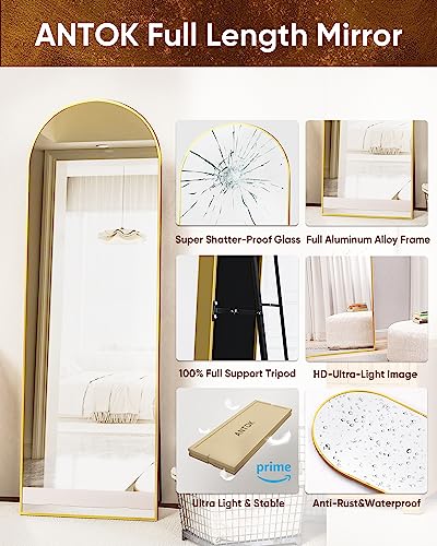 Antok Arched Full Length Mirror, 58"x18" Arched Floor Mirror, Glassless Mirror Full Length with Stand, Floor Mirror Freestanding, Wall Mounted Mirror for Bedroom Living Room, Gold