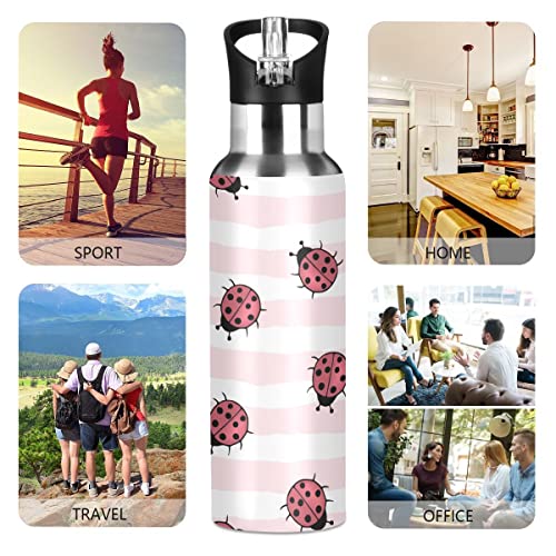 xigua Ladybug Water Bottle Double Walled Stainless Steel Leak Proof Thermo Flask for Sports Gym Cycling Outdoor,20 oz.
