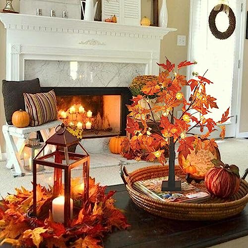 HUAESIN 2 Pack 24'' Prelit Lighted Maple Tree Thanksgiving Decor Fall Tree 48 LEDs Battery Operated Lighted Pumpkins Artificial Autumn Fall Tabletop Tree for Halloween Fall Harvest Home Indoor Decor