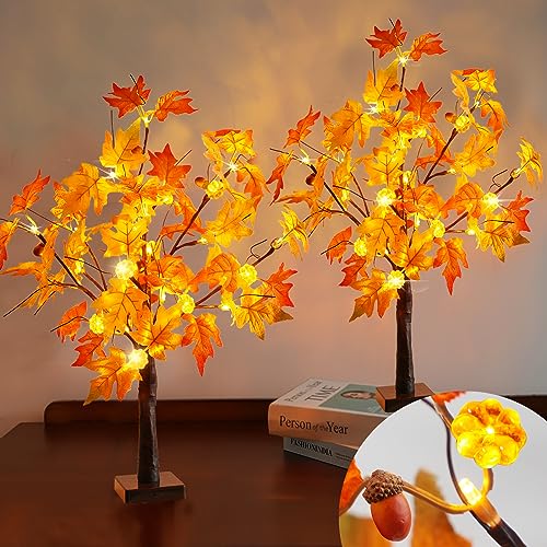 HUAESIN 2 Pack 24'' Prelit Lighted Maple Tree Thanksgiving Decor Fall Tree 48 LEDs Battery Operated Lighted Pumpkins Artificial Autumn Fall Tabletop Tree for Halloween Fall Harvest Home Indoor Decor