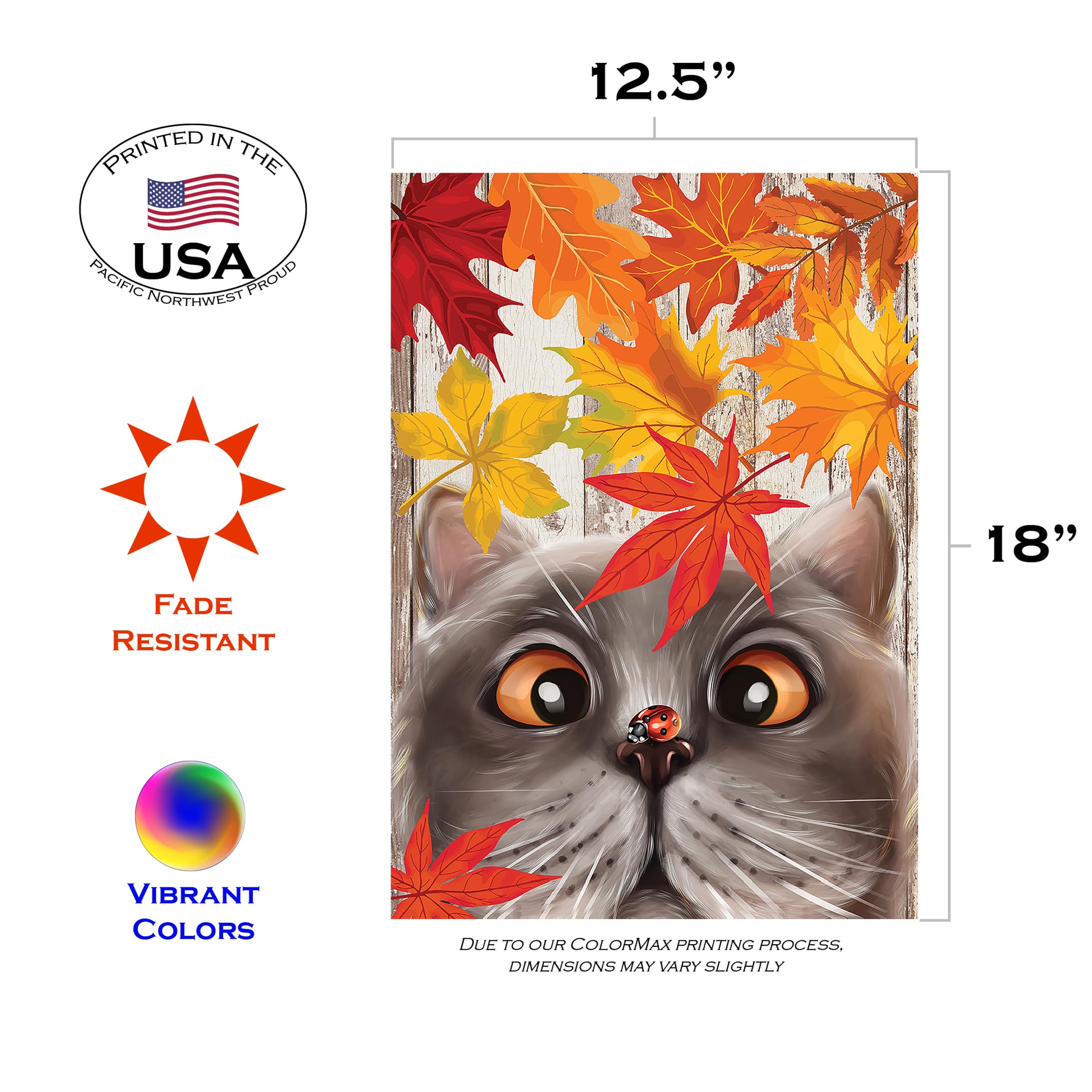 Toland Home Garden 1112655 Fall Cat and Ladybug Fall Flag 12x18 Inch Double Sided for Outdoor Cat House Yard Decoration