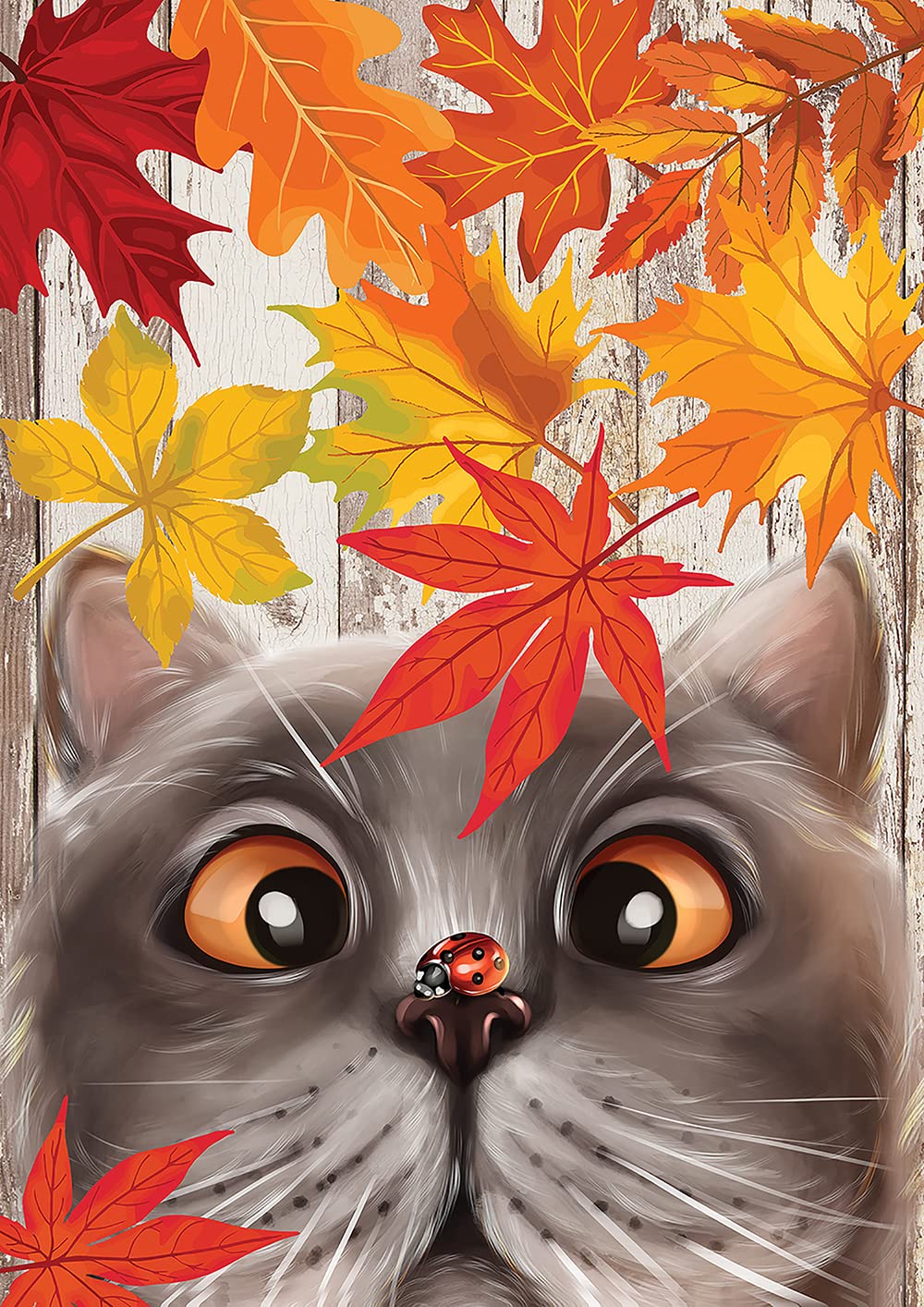 Toland Home Garden 1112655 Fall Cat and Ladybug Fall Flag 12x18 Inch Double Sided for Outdoor Cat House Yard Decoration