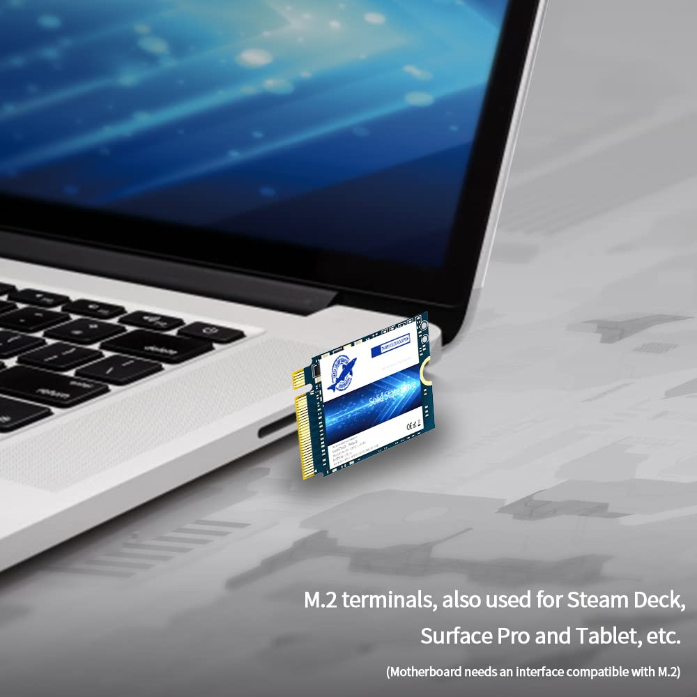 Dogfish SSD M.2 2230 NVMe PCIe 4.0 1TB 3D TLC NAND Gaming Unit?a stato solido interna per Steam Deck PS5 Surface Pro Laptop Desktop (M.2 2230 NVMe 4.0, 1TB)