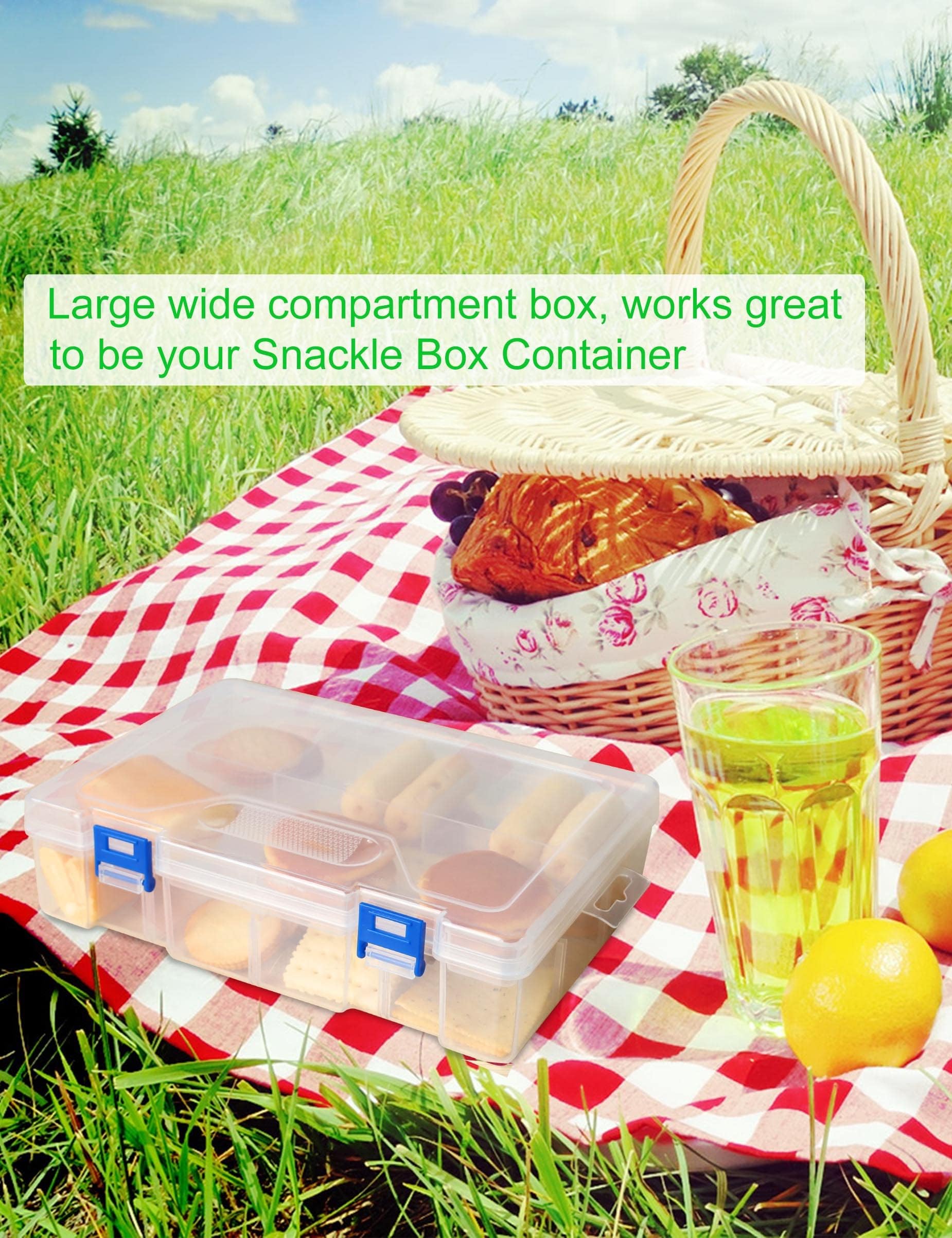 Tnqhuq Bead Organizer Tackle Box Organizer Bead Storage Containers 2-layer Craft Organizer Plastic Organizer Box with Dividers & Removable Tray