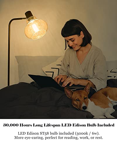 ELYONA Industrial Floor Lamp, Modern Standing Light with Handblown Seeded Bubble Glass Shade, Tall Pole Farmhouse Corner Light for Living Room Bedroom Office, Edison 6W Bulb Included, Black