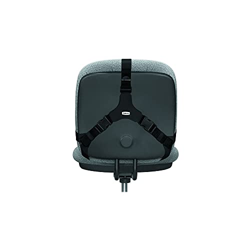 Fellowes Professional Series Back Support Memory Foam Cushion Black Fel8037601