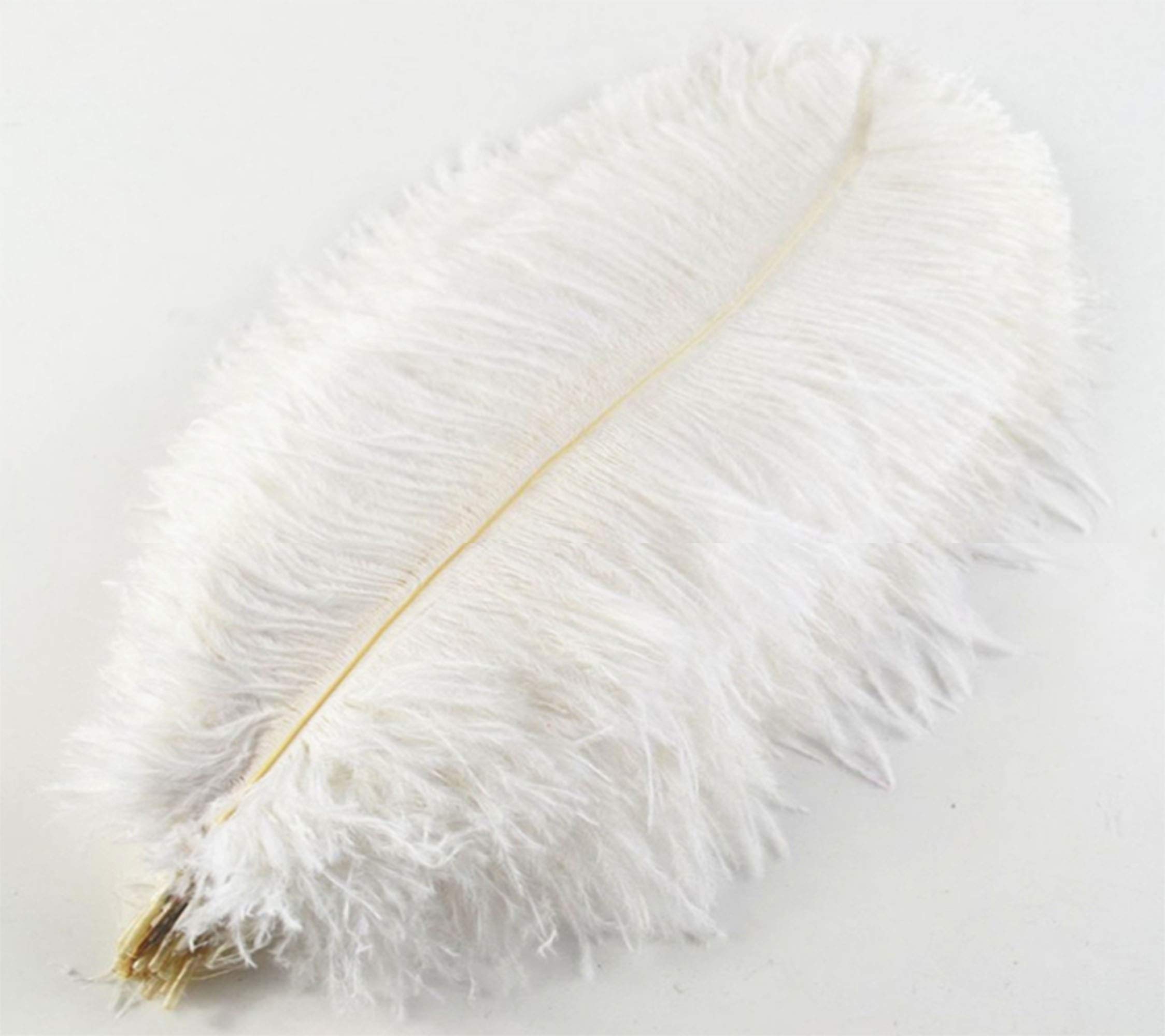 TBUY ROSE 6-9 inch 15-20cm Natural Ostrich Feathers Bulk for Christmas Halloween Home Party Wedding Centerpieces DIY Craft, 20 Pack (White)