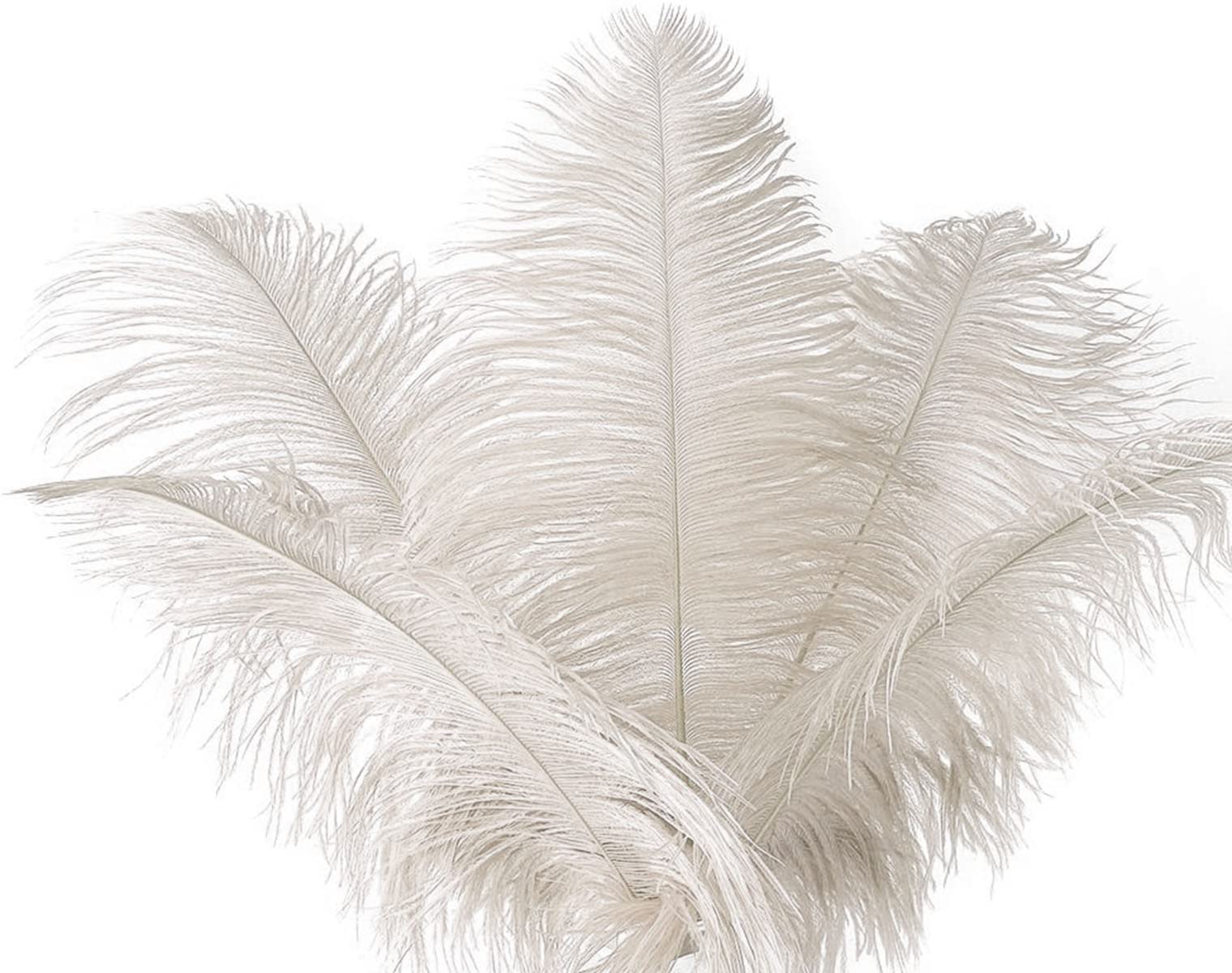 TBUY ROSE 6-9 inch 15-20cm Natural Ostrich Feathers Bulk for Christmas Halloween Home Party Wedding Centerpieces DIY Craft, 20 Pack (White)