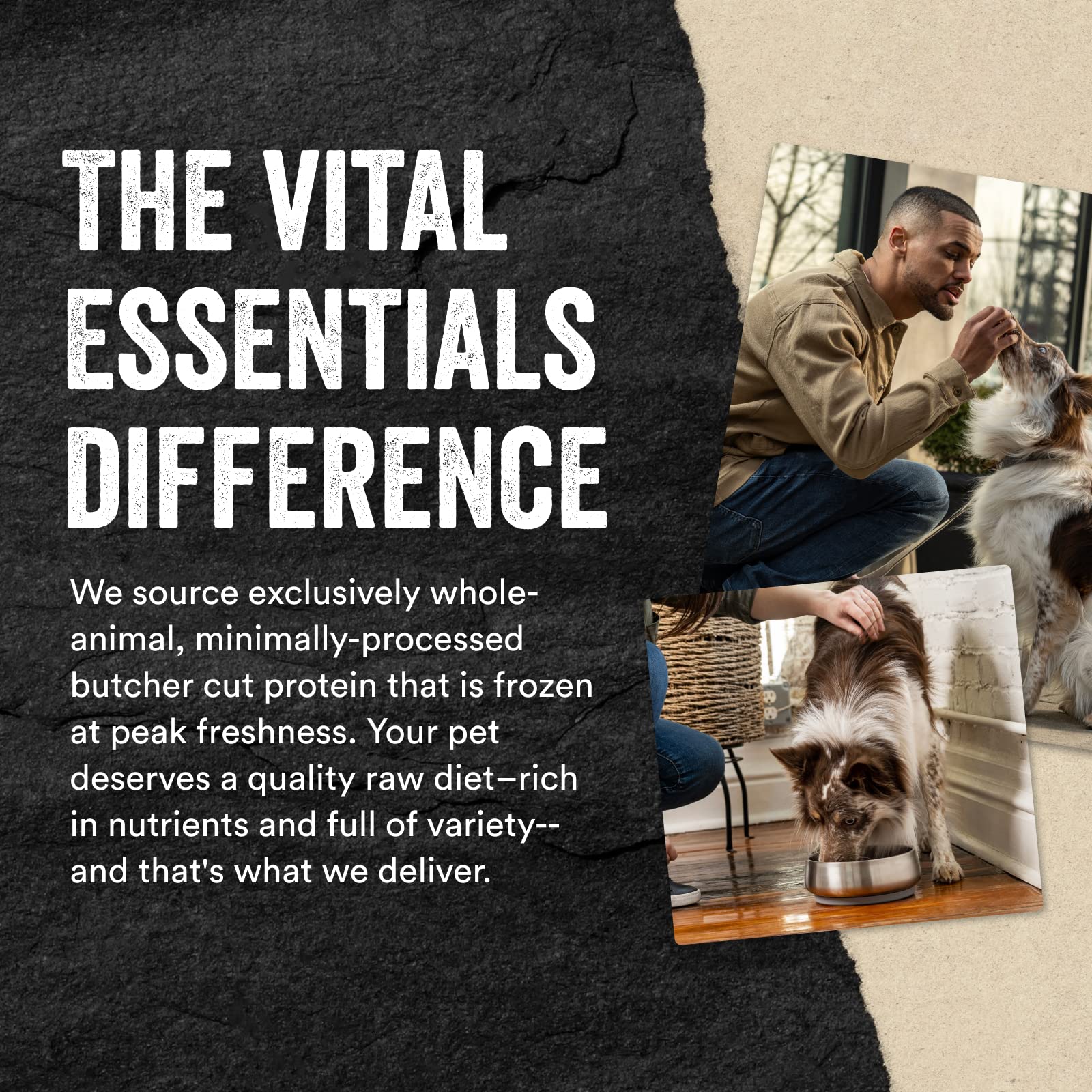 Vital Essentials Freeze Dried Raw Protein Mix-in Dog Food Topper, Chicken Ground Topper for Dogs, 6 oz