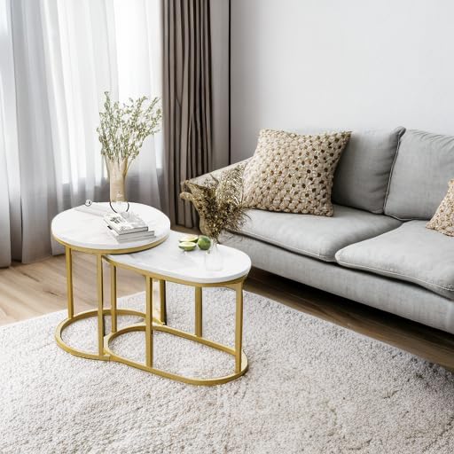 VILAWLENCE Nesting Coffee Table Set of 2 Modern Round White Marble Wood Table,Side Table Gold Metal Frame Oval