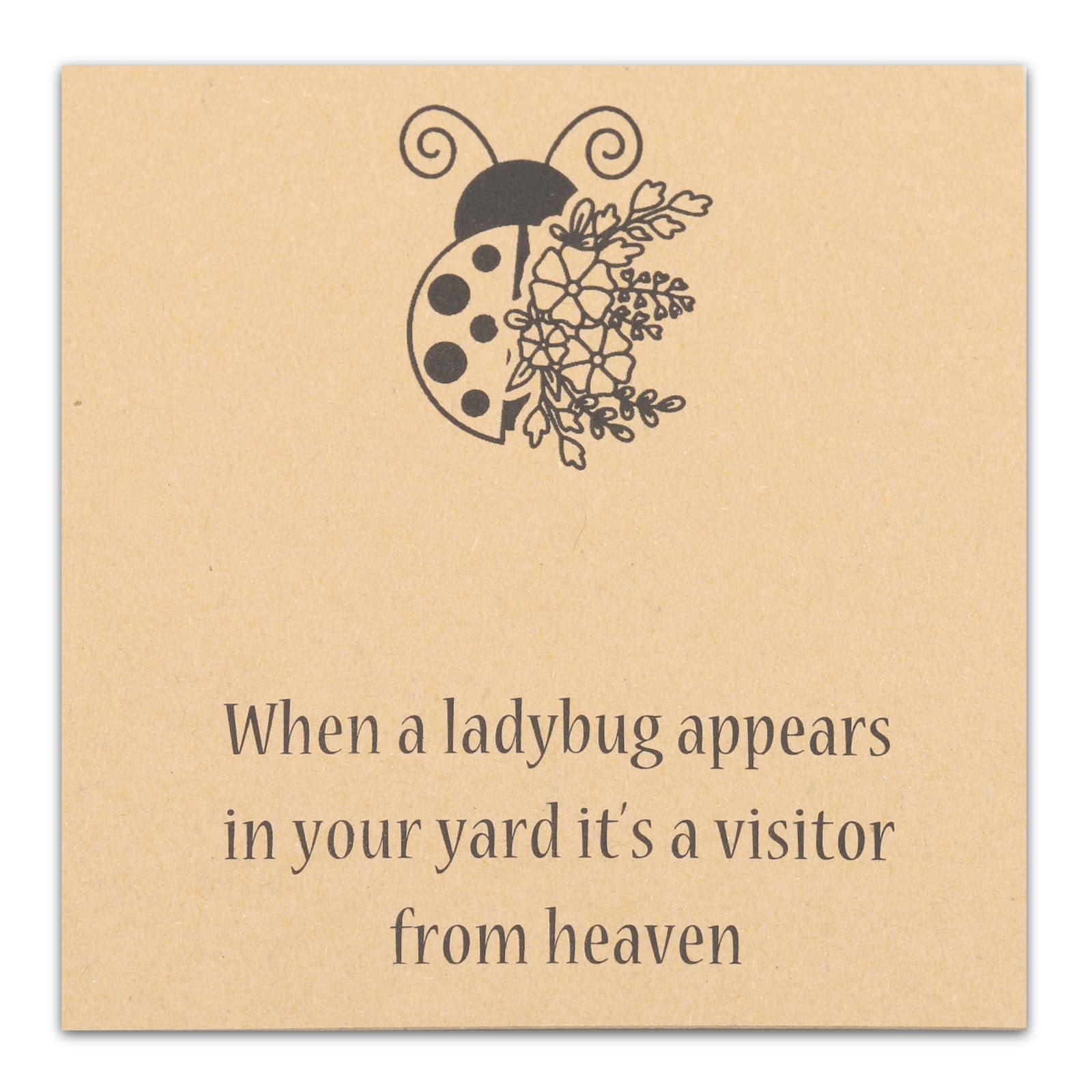 FAADBUK Ladybug Memorial Keychain When a Ladybug Appears In Memory of Love One Sympathy Gift (Card)