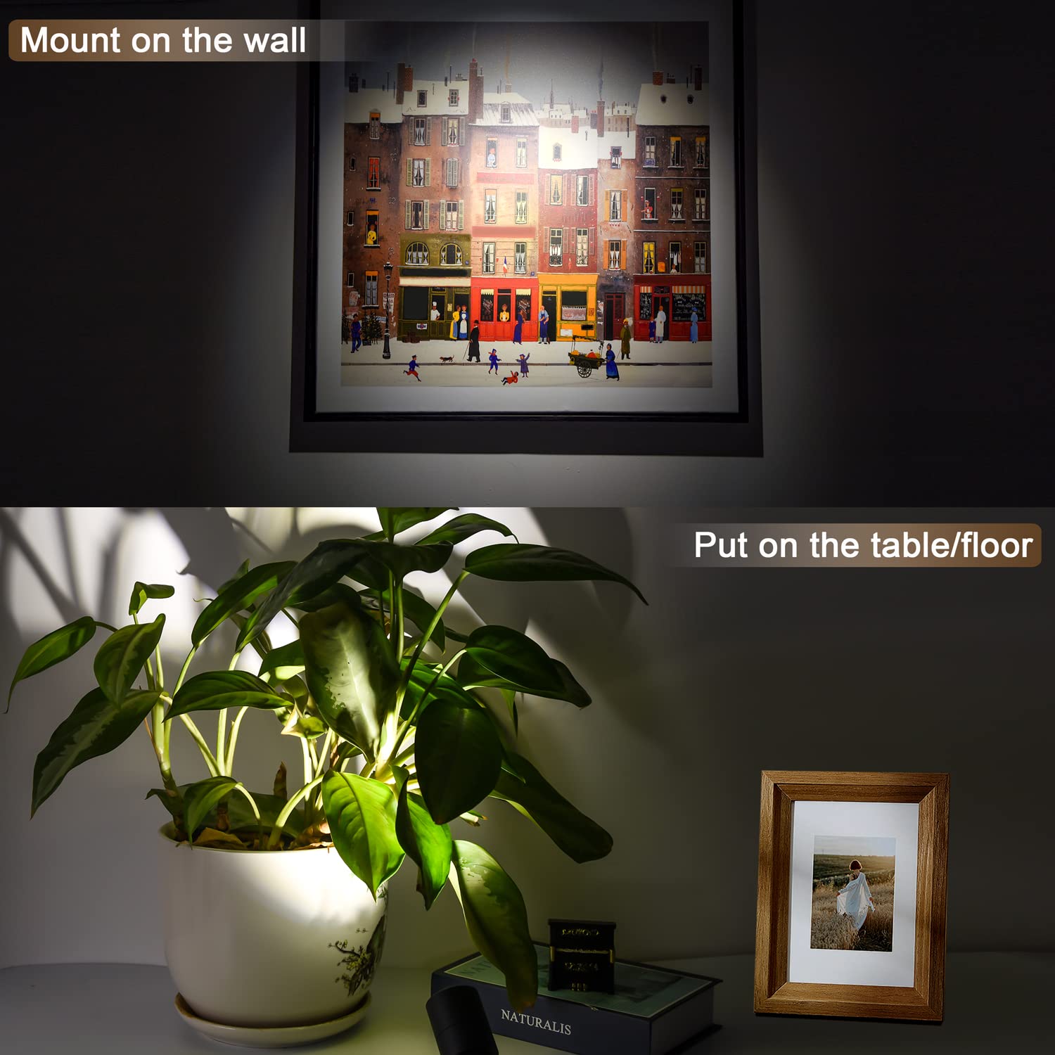 FZWLE 2 Pack Dimmable Indoor Spot Lights with Timer & Remote, 3W LED Up Lights, 3000K/4000K/5000K Adjustable, Ideal Indoor Accent & Plant Spotlight