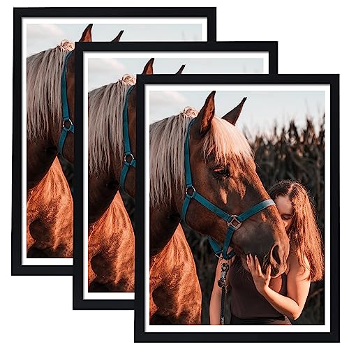 QDSSDECO 16"x20" Picture Frame Black Wood Frame with PS Board Hanging on the Wall Display Picture, Set of 3