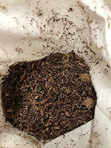 Red Wiggler Composting Worms - Reduce Waste and Improve Your Soil (0.25 lbs / ~250 worms)