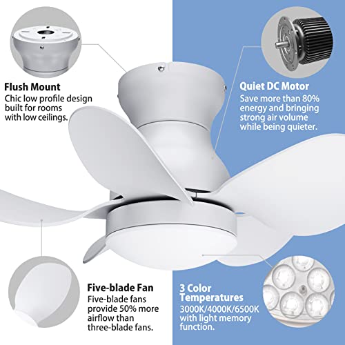 Regair Ceiling Fans with Lights, DC Motor 22 inch Flush Mount Ceiling Fans with Lights and Remote Control, Reversible Blades Small White Quiet low profile Ceiling Fan