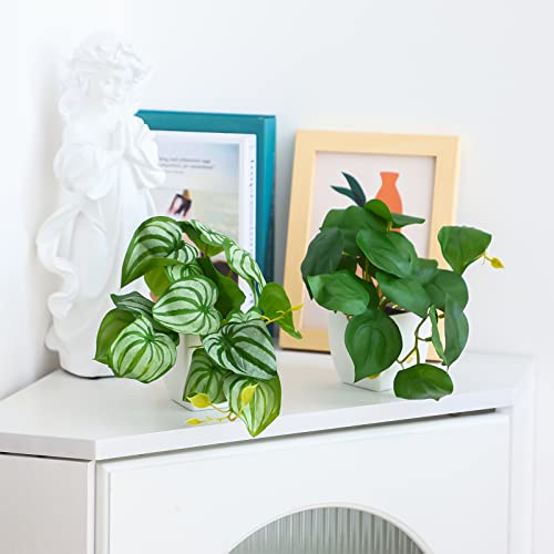 CEWOR Fake Plants 2 Packs Artificial Plants Small Plants Artificial Decor for Home Bedroom Aesthetic Living Room Bathroom Farmhouse Decor Indoor