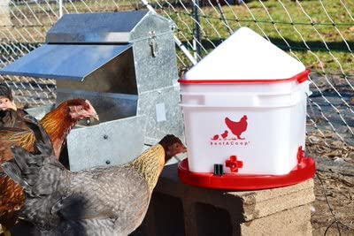 RentACoop 12" Poultry Deicer Base – Electric Heated Warmer for Poultry Waterers in Winter, Freeze Proof, Indoor/Outdoor Use