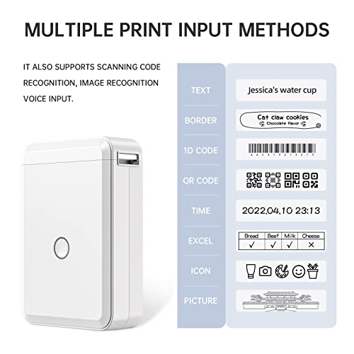 Label Maker Machine with Tape, D110 Portable Bluetooth Label Printer, Small Smart Phone Handheld Sticker Mini Labeler, Easy to Use Inkless Office Home Organization USB Rechargeable
