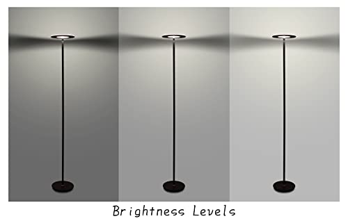 J&V Showroom LED Sky Floor Lamp -Dimmable Modern Design LED Floor Lamp for Living Room, Bedroom, Porch, Office, Study Room, Hotel, Black