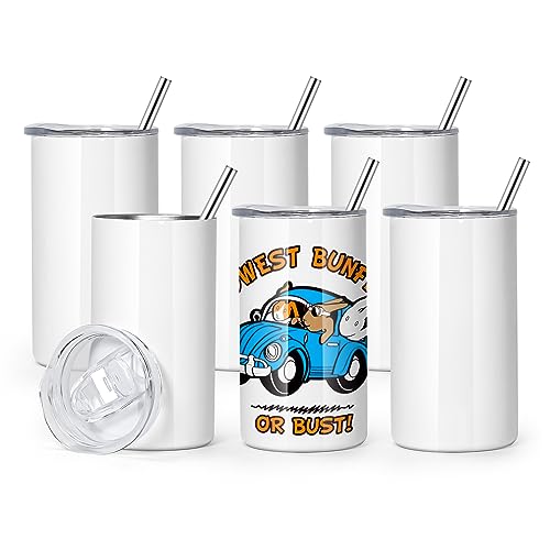 AGH 12OZ Sublimation Tumblers Blanks, 6 Pack Stainless Steel Straight Skinny Slim Tumblers with Lids and Straw, Double Wall Vacuum Insulated Cups Great DIY Gift for Children and Family.