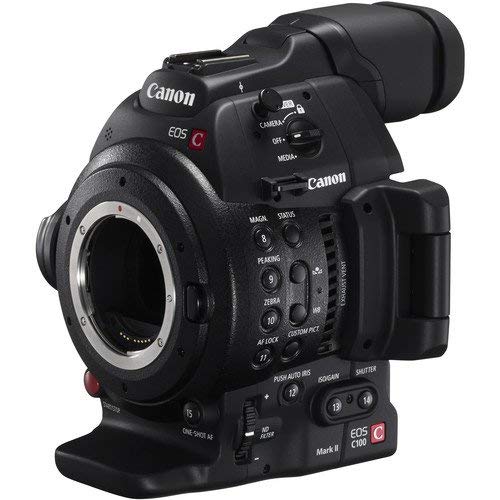 Canon EOS C100 Mark II with Dual Pixel CMOS AF 0202C002 & EF 24-105mm f/4L is II USM Lens with Memory Card, Case, Tripod, and More - Starter Bundle - (International Version) (Renewed)