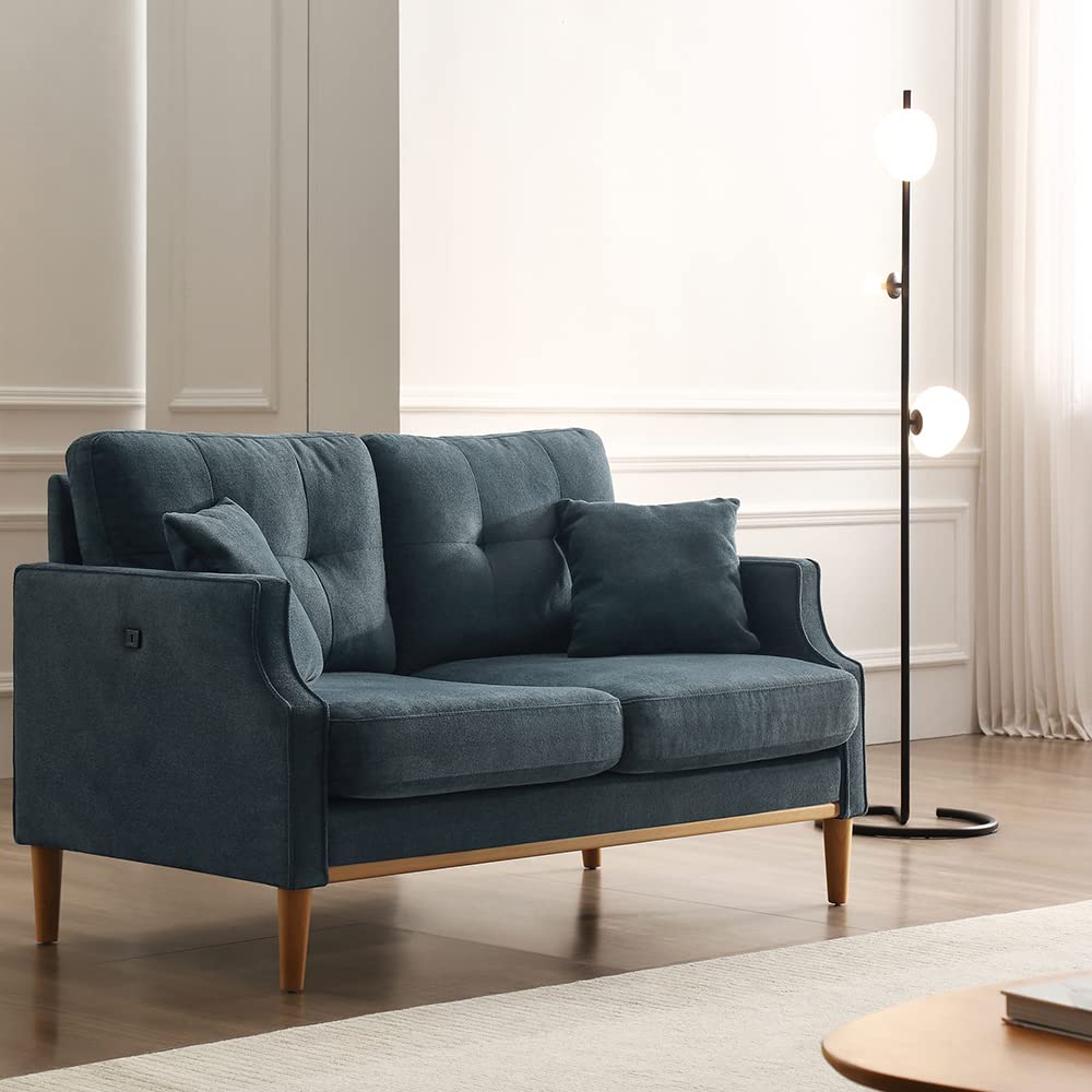 ARUGOU 56.7" W Loveseat Sofa, Love Seat Couch with USB Charge Port and 2 Pillows, Comfortable Thickness Cushion and Waterproof Fabric, Easy to Install 2 Seat Couches for Living Room, Bedroom (Blue)