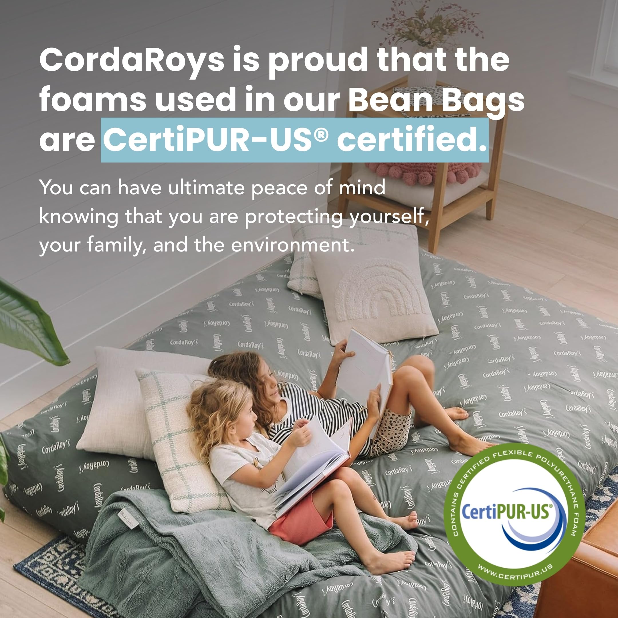 CordaRoy's Chenille Bean Bag Chair Cover Only (Bean Bag Sold Separately), King Size, Charcoal