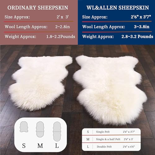 WL&ALLEN Large Sheepskin Rug Genuine Thick and Lush 3 Inch Pile,Luxury Australian Pelts |Large Sheepskin Wool Area Rugs (Large Single Pelt 2'6" x 3'7",Light Brown)…