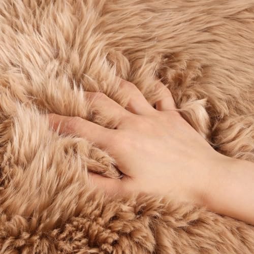 WL&ALLEN Large Sheepskin Rug Genuine Thick and Lush 3 Inch Pile,Luxury Australian Pelts |Large Sheepskin Wool Area Rugs (Large Single Pelt 2'6" x 3'7",Light Brown)…