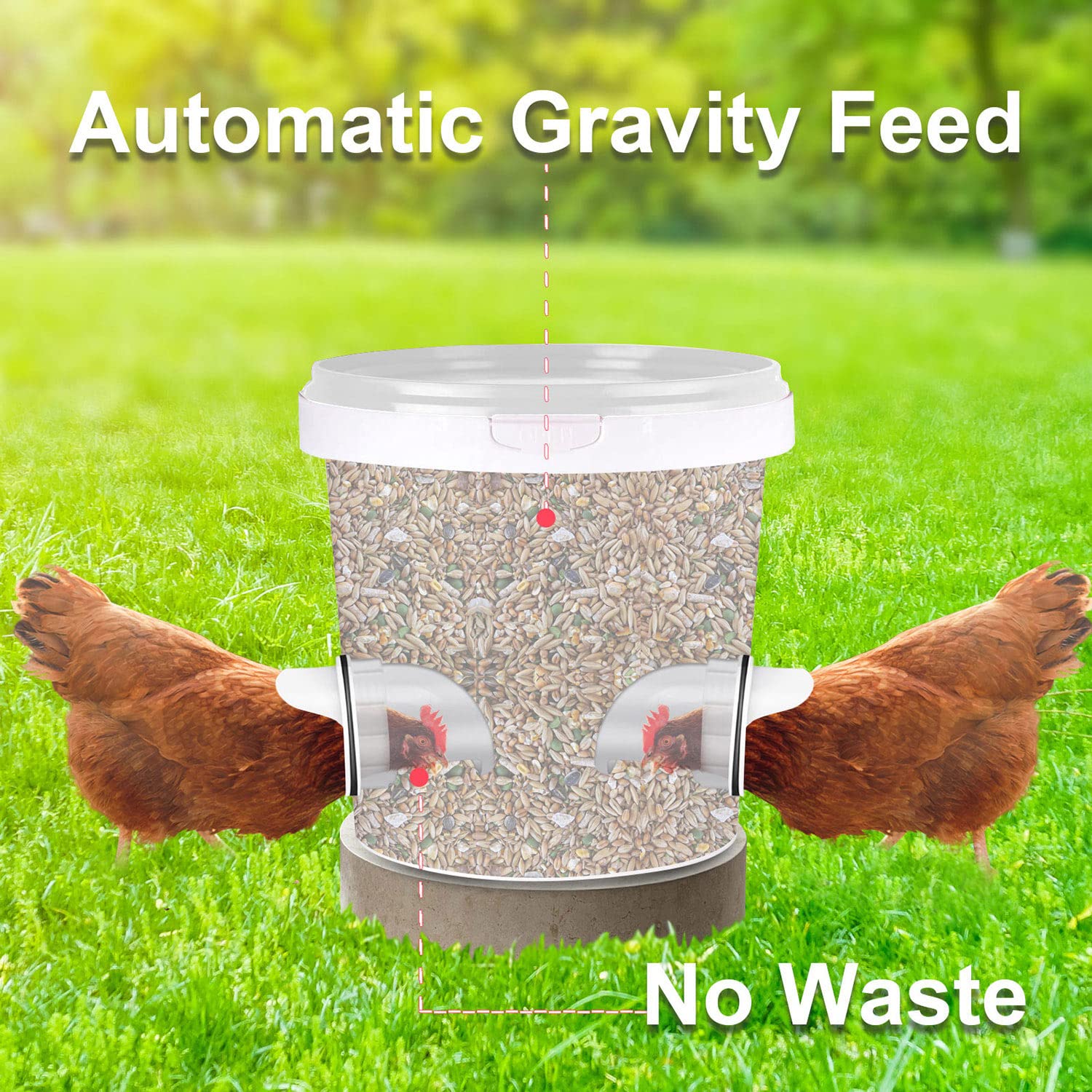 TUZIER Chicken Feeder No Waste Automatic Poultry Feeder Ports Kit and Waterer Set