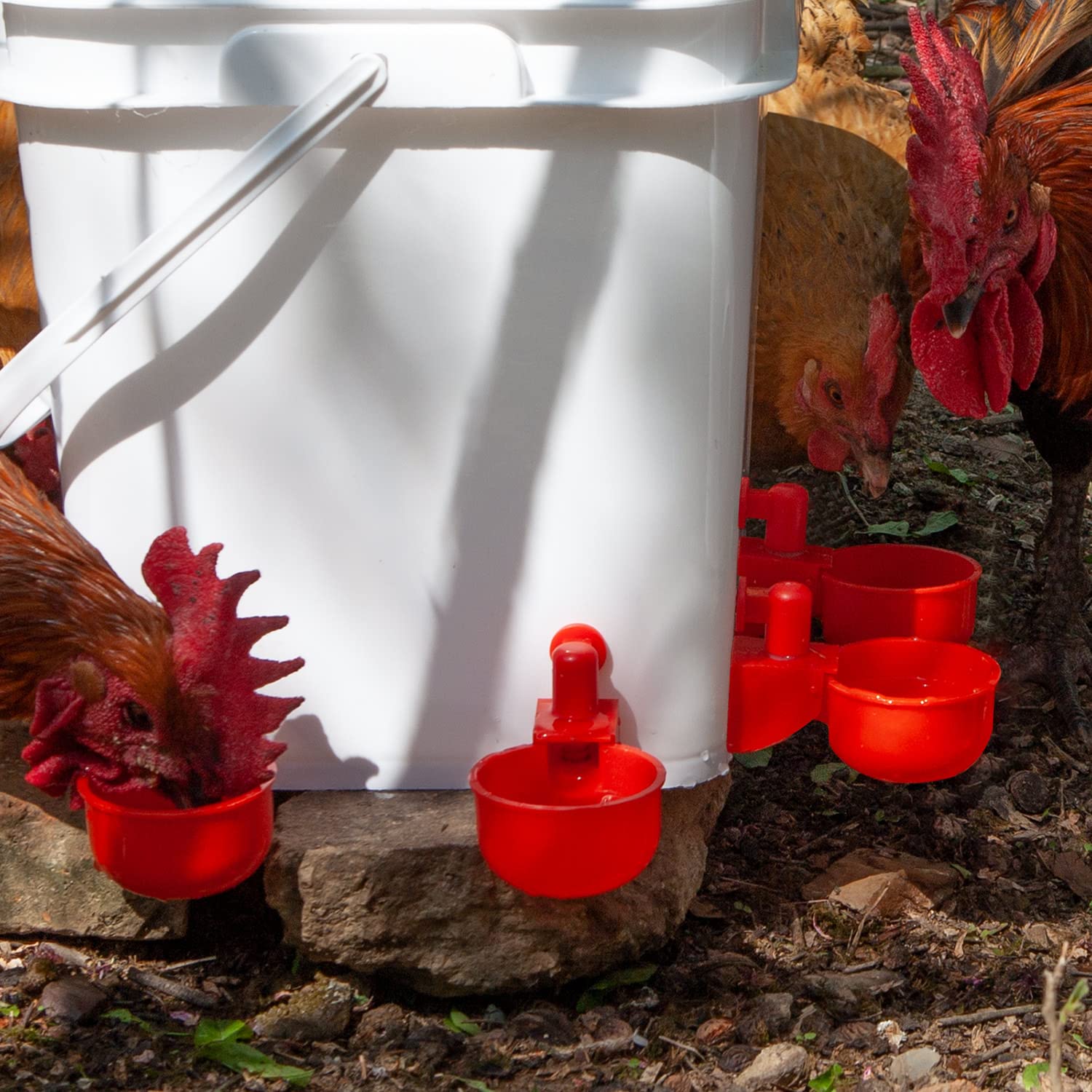 TUZIER Chicken Feeder No Waste Automatic Poultry Feeder Ports Kit and Waterer Set