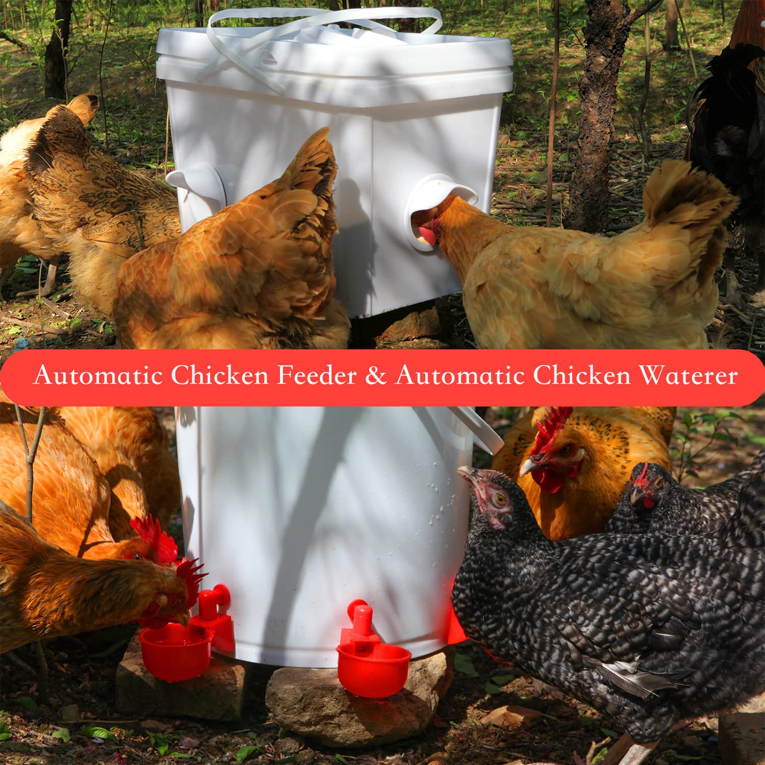 TUZIER Chicken Feeder No Waste Automatic Poultry Feeder Ports Kit and Waterer Set