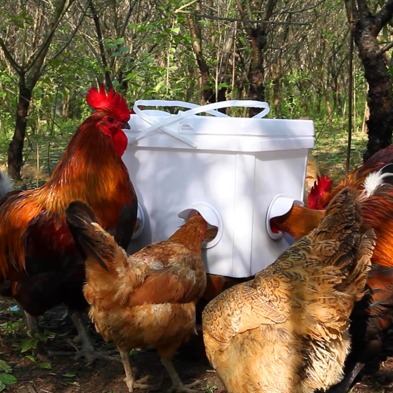 TUZIER Chicken Feeder No Waste Automatic Poultry Feeder Ports Kit and Waterer Set