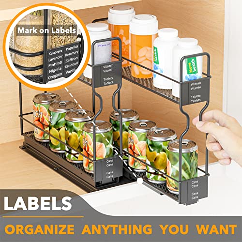 SpaceAid Pull Out Spice Rack Organizer for Cabinet, Heavy Duty Slide Out Seasoning Kitchen Organizer, Cabinet Organizer, with Labels and Chalk Marker, 5.2" W x10.75 D x10 H, 2 Drawers 2-Tier