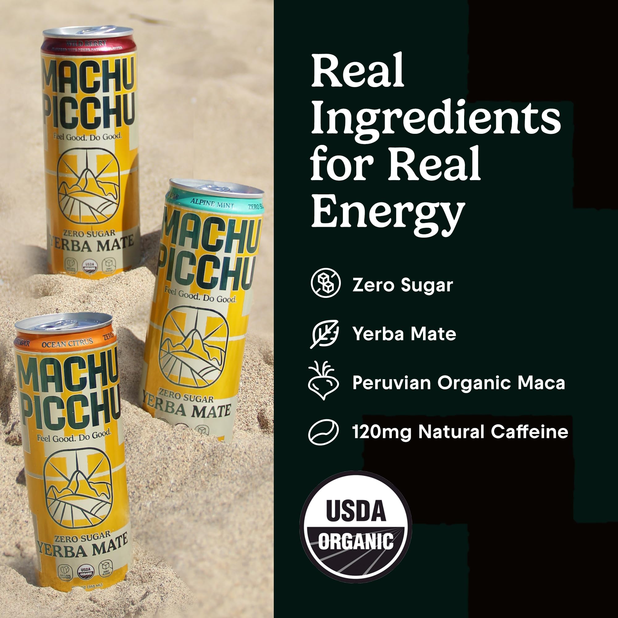 MACHU PICCHU ENERGY, Zero Sugar Yerba Mate, Clean Energy Drink Alternative, 12oz (Pack of 12) - 120mg Organic Green Coffee Bean Caffeine, Low Calorie, USDA Organic, No Artificial Flavors (Ocean Citrus)