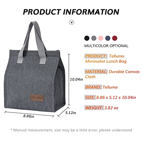 TELLUMO Lunch bag, Insulated Lunch Bag for Women Men Large Lunch Box Container Reusable Leakproof Tote for Office, Work, School, Beach or Travel (Minimalist Grey)