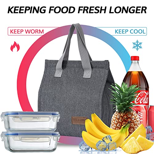 TELLUMO Lunch bag, Insulated Lunch Bag for Women Men Large Lunch Box Container Reusable Leakproof Tote for Office, Work, School, Beach or Travel (Minimalist Grey)