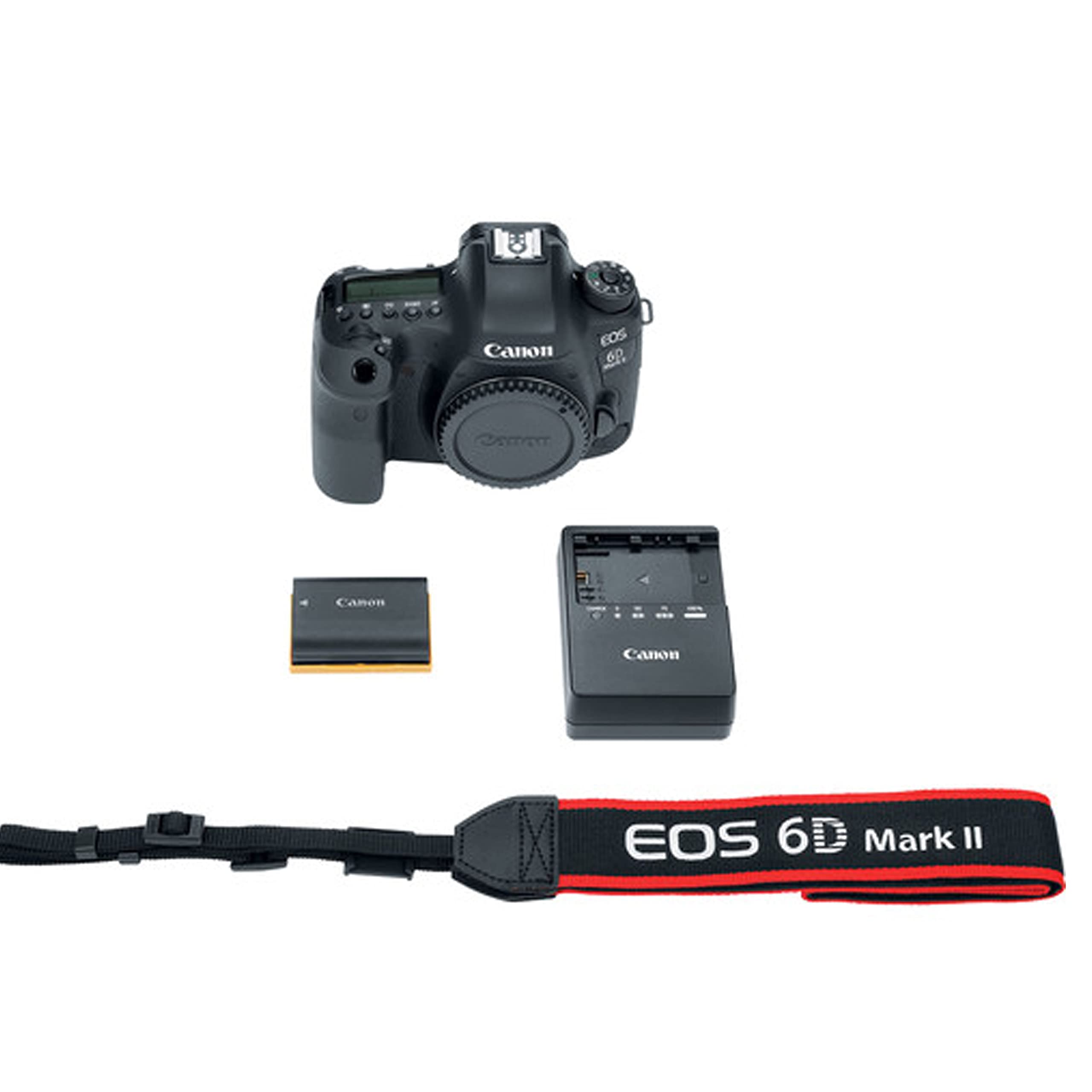 Canon EOS 6D Mark II DSLR Camera w/EF 24-105MM L is II USM + 75-300mm + 420-800mm Super Telephoto Lens + LED Always on Light + 128GB Memory, Filters, Case, Tripod + More (34PC Bundle Kit)