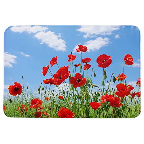 Door Mat Red Flowers Memory Foam Cushioned Kitchen Rug, 16x24 Inch Water Absorbent Soft Touch Standing Mat for Bathroom, Office, Sink, Laundry, Home Green Leaves Blue Sky Landscape Texture