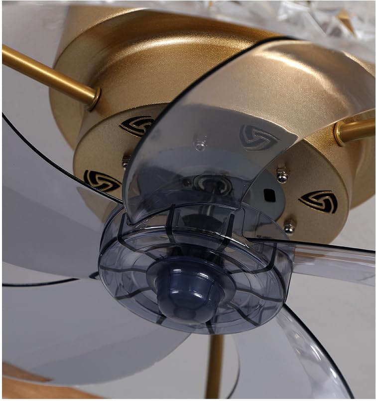 Pang Pang Gold Ceiling Fans with Lights Flush Mount,LED Dimmable Low Profile Ceiling Fan with Remote Control,6 Speeds Reversible Blades and Smart 3 Light Color for Bedroom Living Room Kitchen
