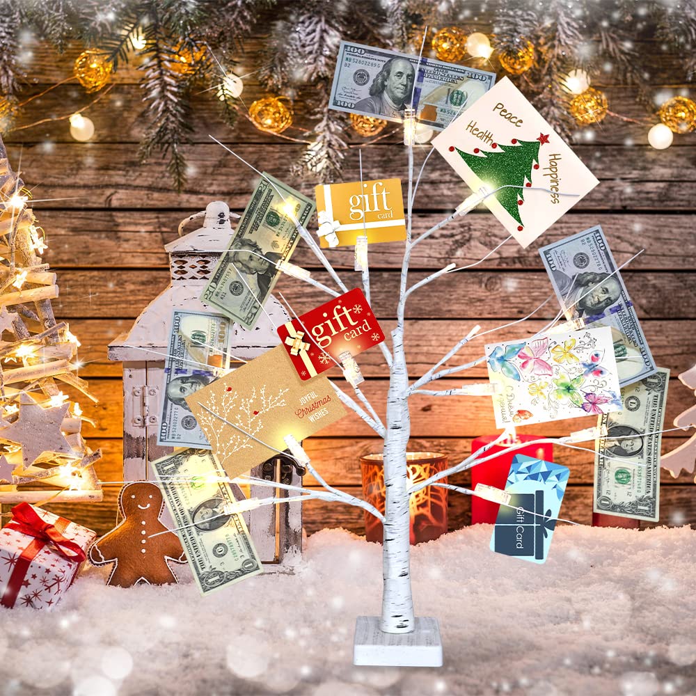DECORKEY Money Tree Gift Holder, 24" 2FT Birch Tree with LED Lights, Battery Powered Timer Display Trees Stands with 12 Clear Clips Card, for Christmas, Birthday, Wedding, Photo, Graduation (White)