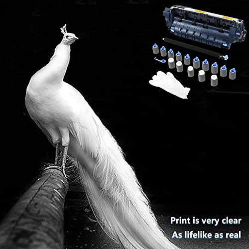 F2G76A (E6B67-67901, F2G76-67901) Fuser Maintenance Kit Compatible with HP Laserjet M604 / M605 / M606 (110V),Includes 1PC RM2-6308 Fuser,1PACK Transfer Roller & Tray 2-6 Rollers, Protective
