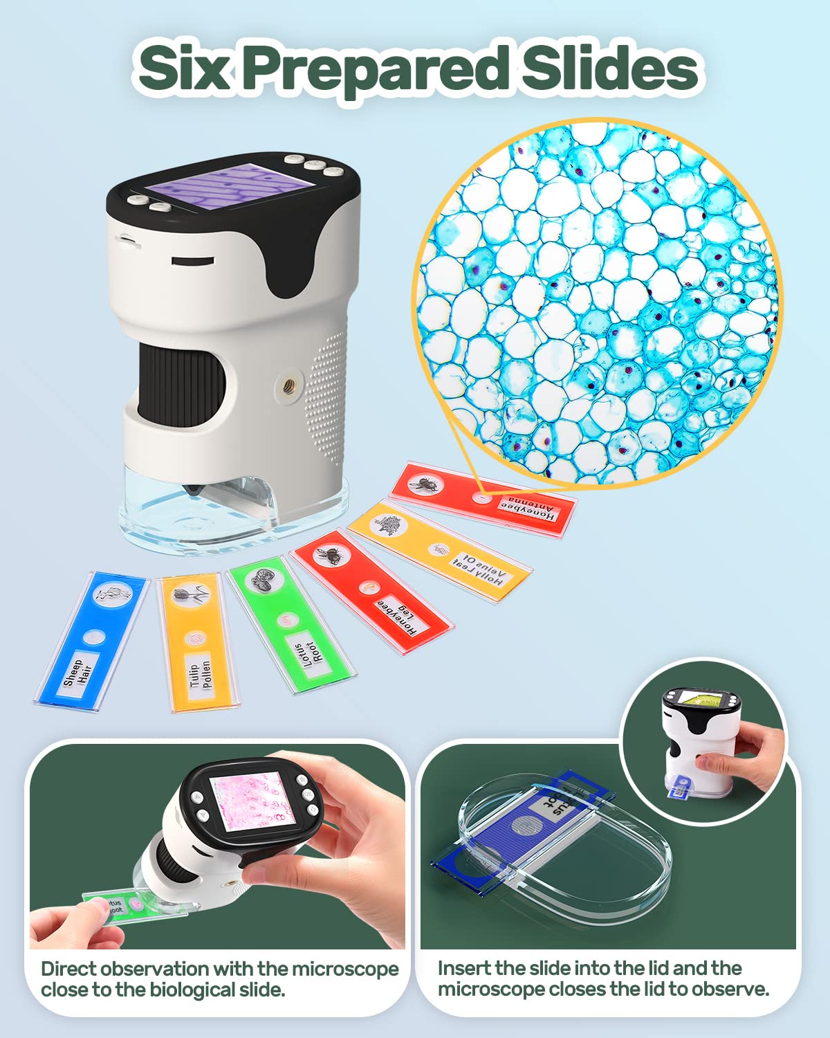 HOLYFUN Handheld Microscope Kit for Kids, Catch Video & Photo, Portable Rechargeable 1000X HD Microscopes Camera Toys, Outdoor Indoor Student Beginner Educational Science Gift for Children Age 6+