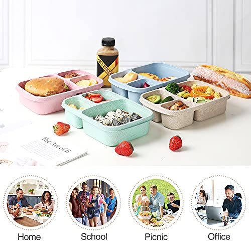 4 Pack Bento Lunch Box,3-Compartment Meal Prep Containers,Lunch Box for Kids,Durable BPA Free Plastic Reusable Food Storage Containers - Stackable, Suitable for Schools, Companies,Work and Travel