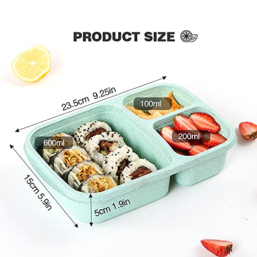 4 Pack Bento Lunch Box,3-Compartment Meal Prep Containers,Lunch Box for Kids,Durable BPA Free Plastic Reusable Food Storage Containers - Stackable, Suitable for Schools, Companies,Work and Travel