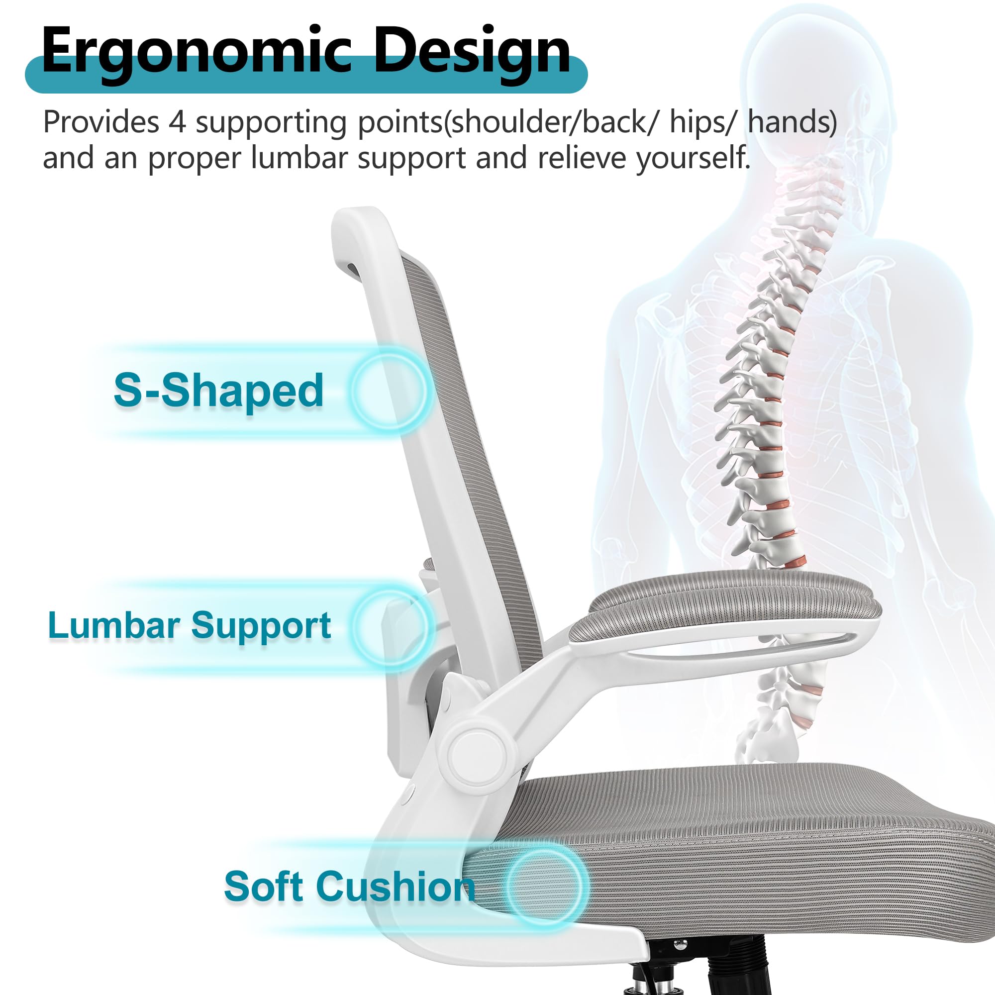 FelixKing Ergonomic Office Chair, Adjustable Height, Breathable Mesh Fabric, Lumbar Support, Gray
